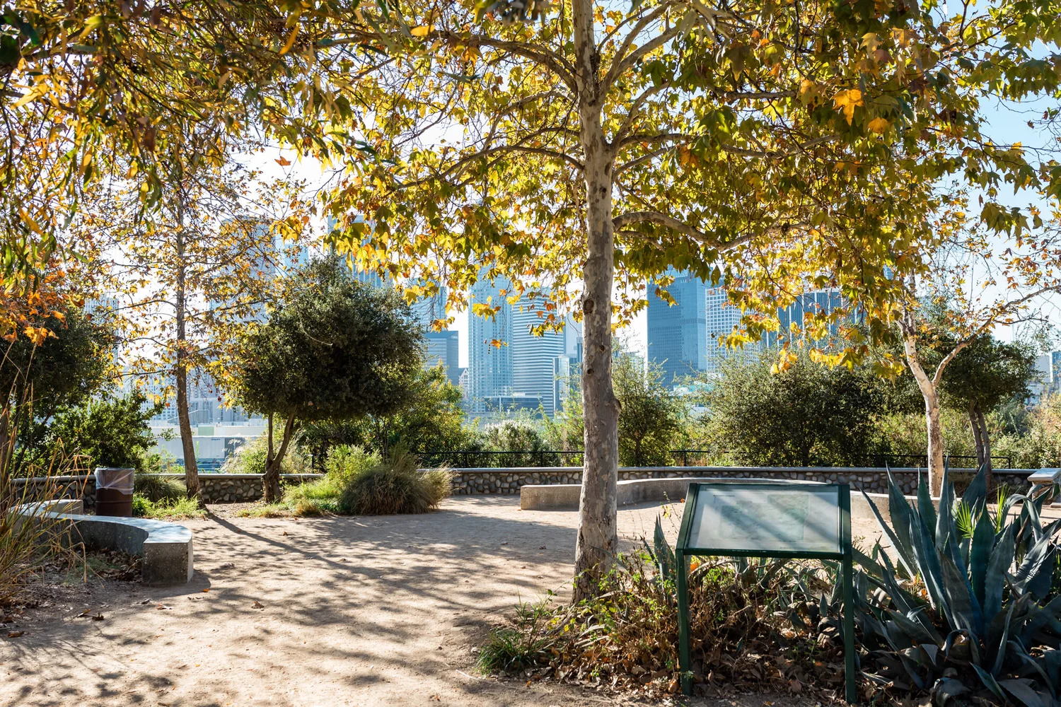 Dog-Friendly Vista Hermosa Natural Park in DTLA - Travel Pockets