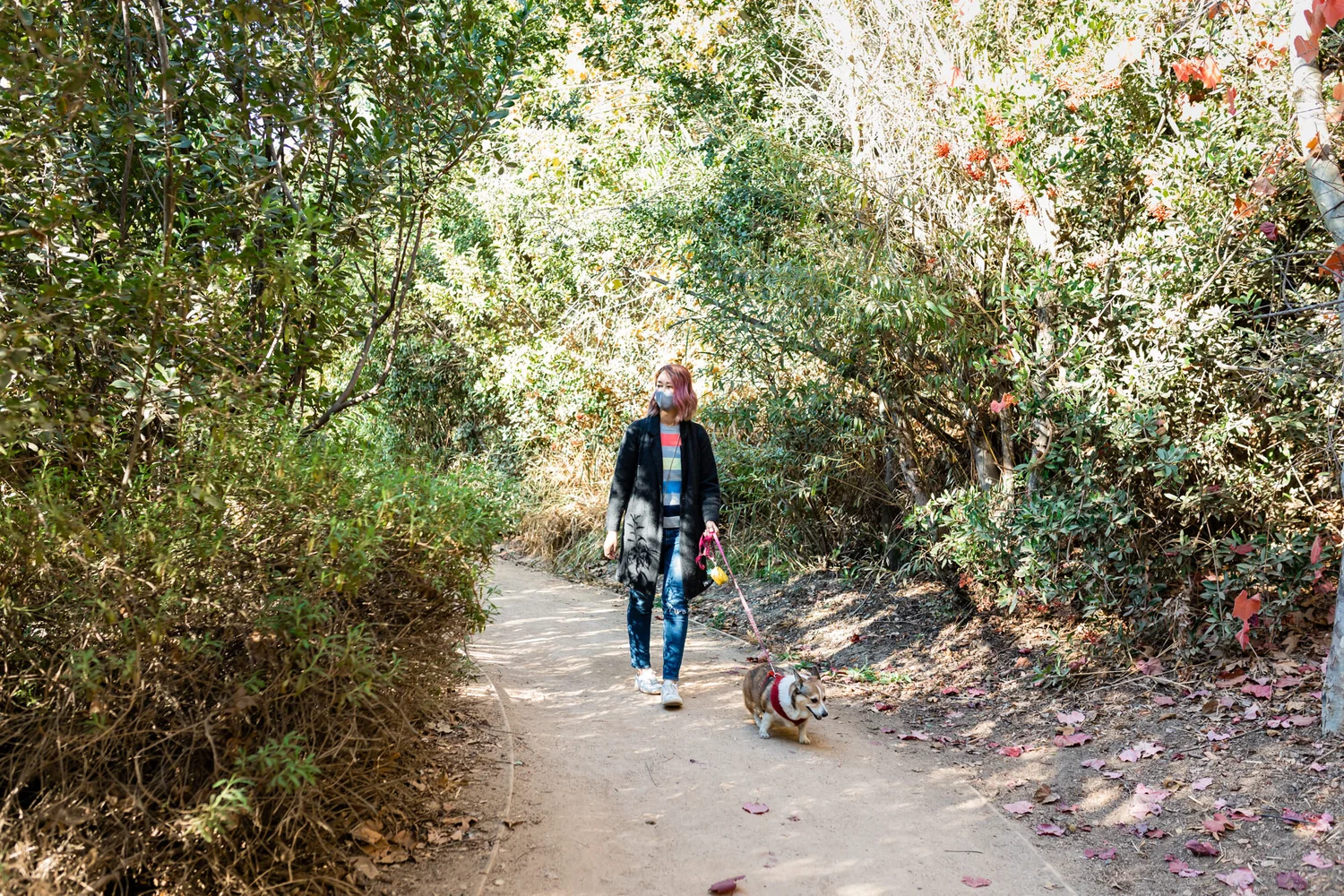 Dog-Friendly Vista Hermosa Natural Park in DTLA - Travel Pockets