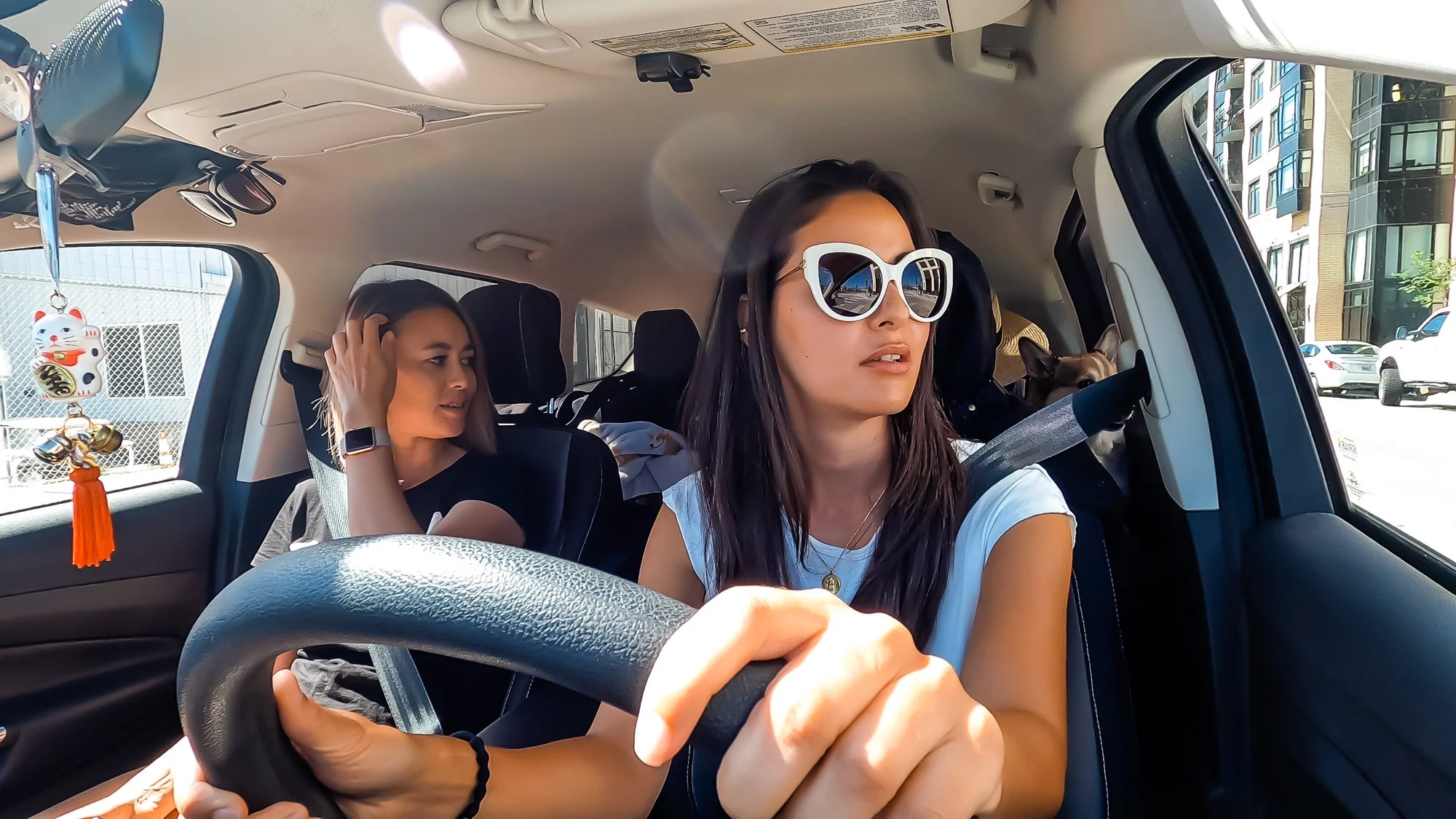 How To Have the Best Car Vlog Setup on Road Trips Using GoPros - Travel ...