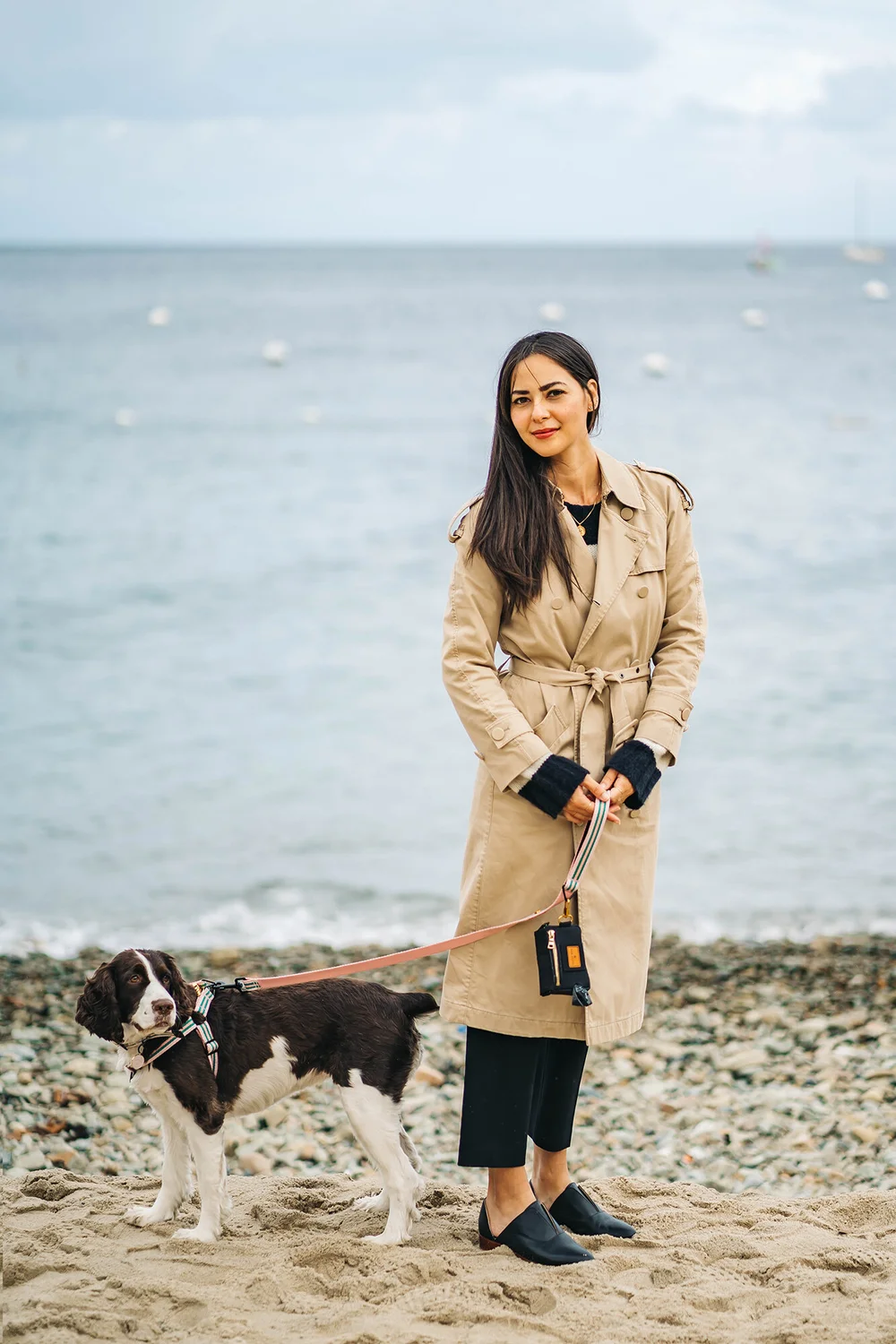 Is Avalon Beach Dog Friendly