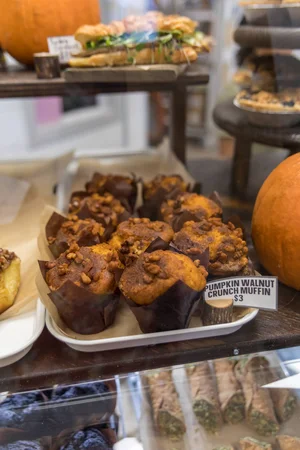 Visit the Sustainable Farm and Kitchen in Tampa, Florida at Fat Beet ...