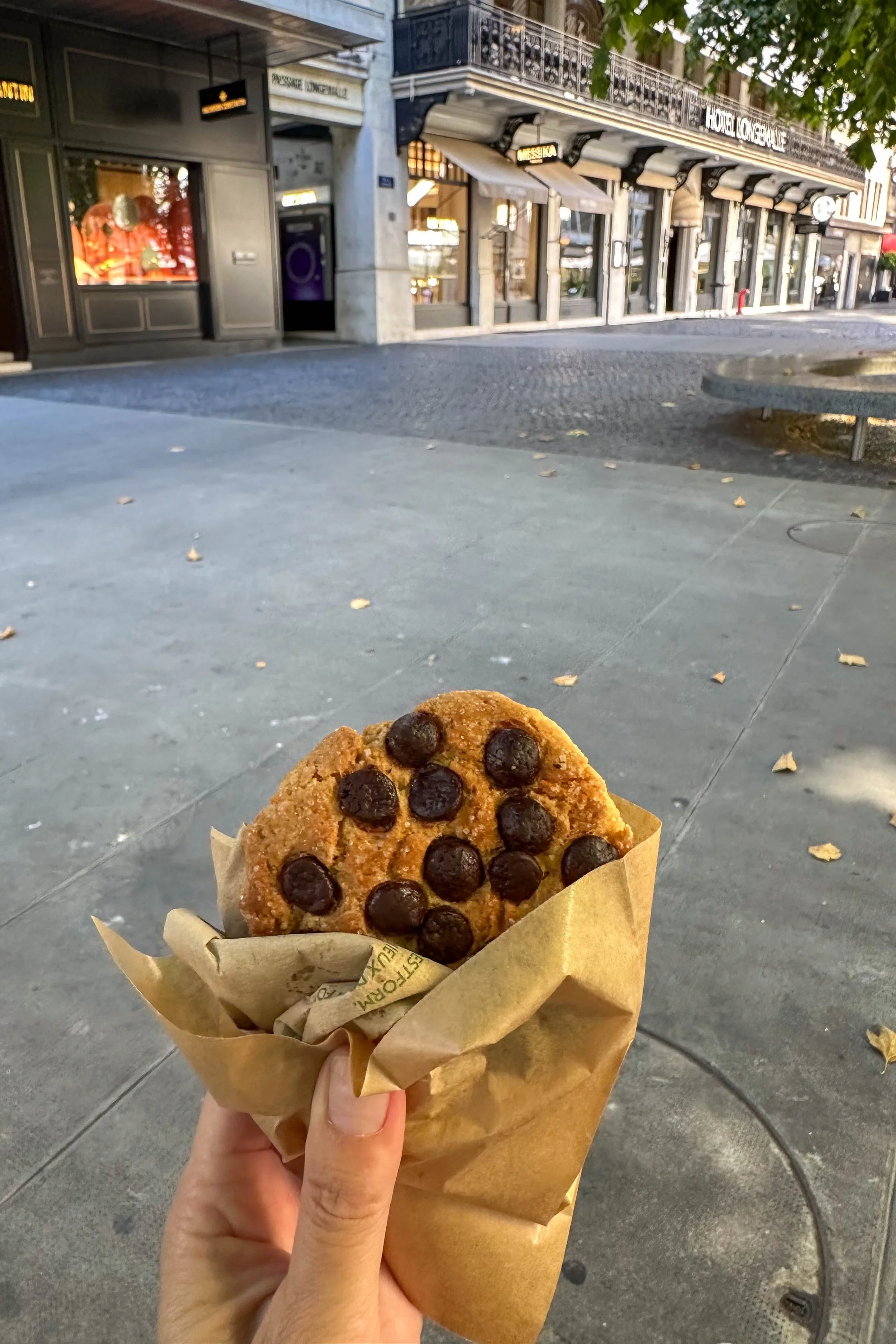 Things To Do on a 6 Hour Layover in Geneva, Switzerland During August ...