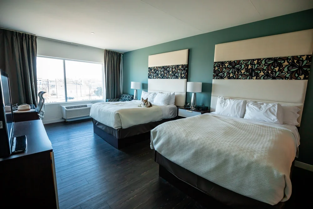 Hotel Indigo Waco - The Closest Hotel to Magnolia Market at the Silos ...