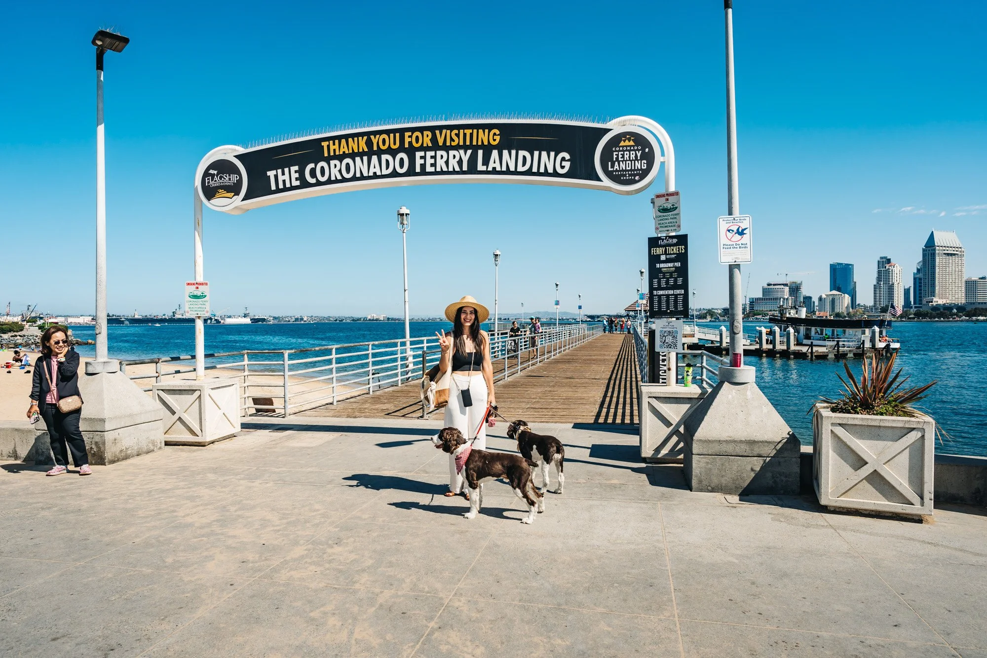 5 Pet-Friendly Things To Do On Coronado Island - Travel Pockets