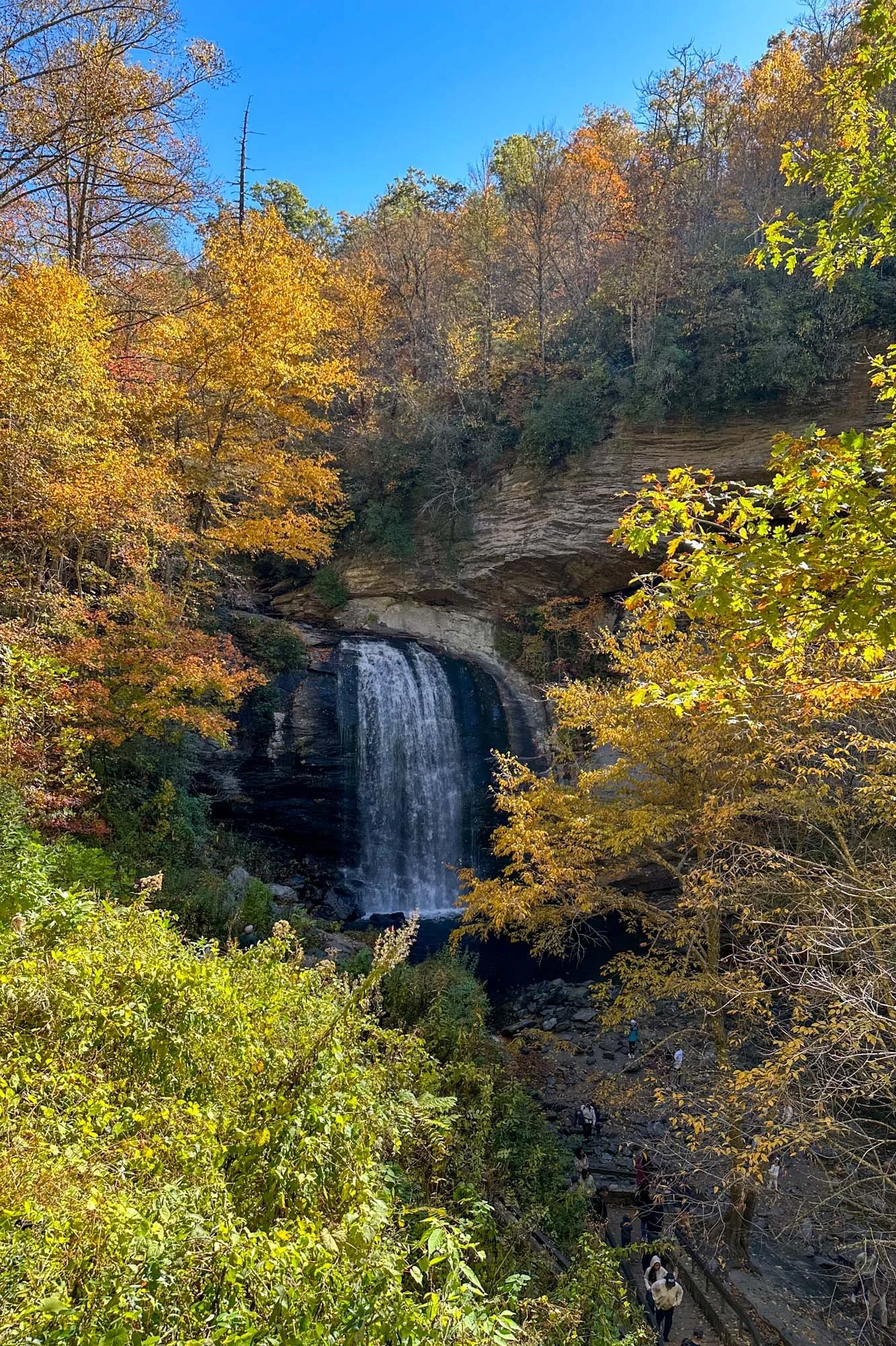 2 Days in Pisgah National Forest During the Fall Foliage with Easy ...