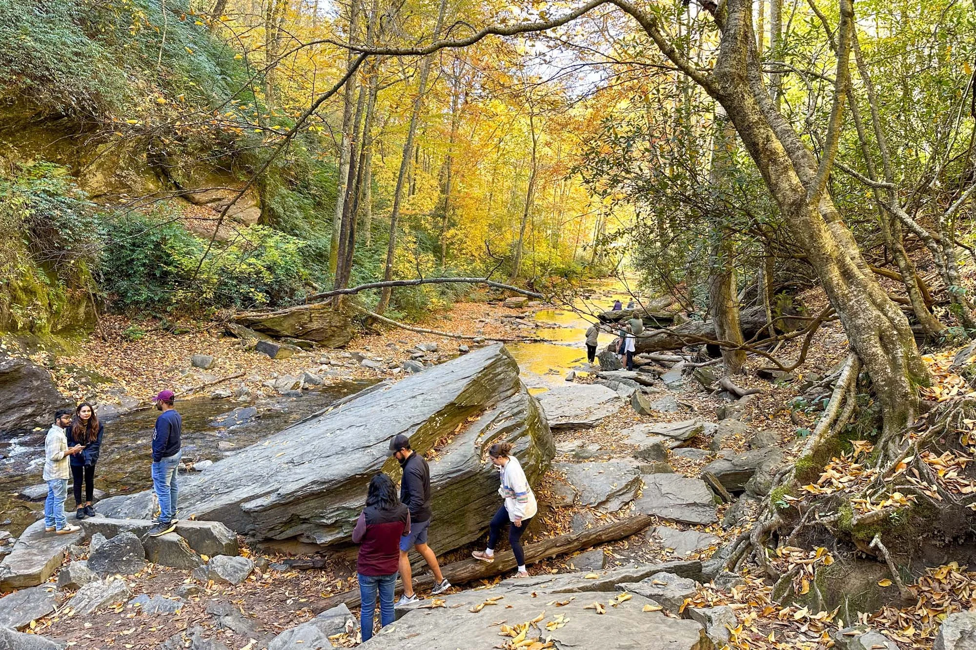 2 Days in Pisgah National Forest During the Fall Foliage with Easy ...
