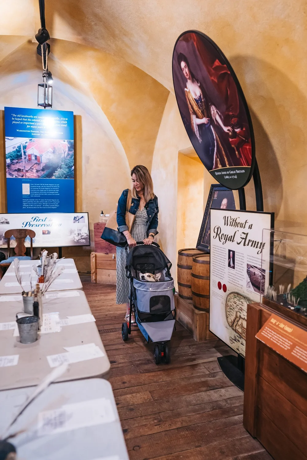 Explore Charleston with Your Pup: Dog-Friendly French Quarter Guide ...