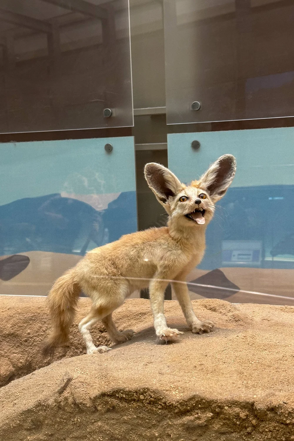 7 Things You Must See at the Smithsonian National Museum of Natural ...