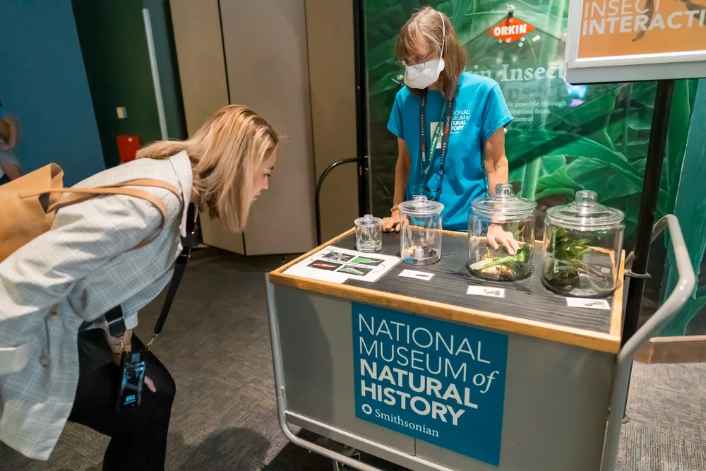 7 Things You Must See at the Smithsonian National Museum of Natural ...
