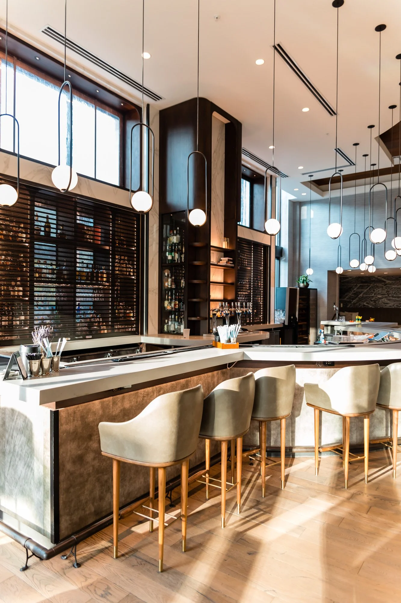 Kimpton Hotel Arras - The Best Pet-Friendly Hotel in Downtown Asheville ...