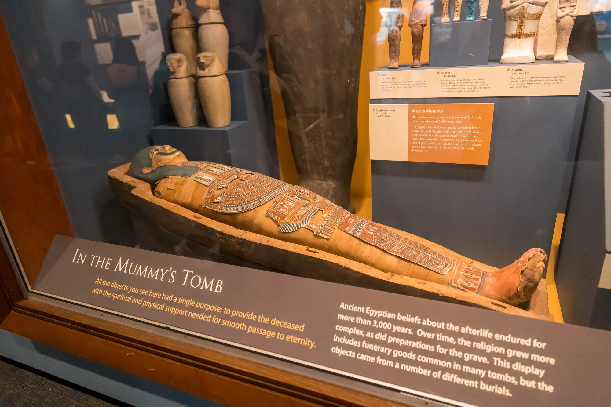 7 Things You Must See at the Smithsonian National Museum of Natural ...