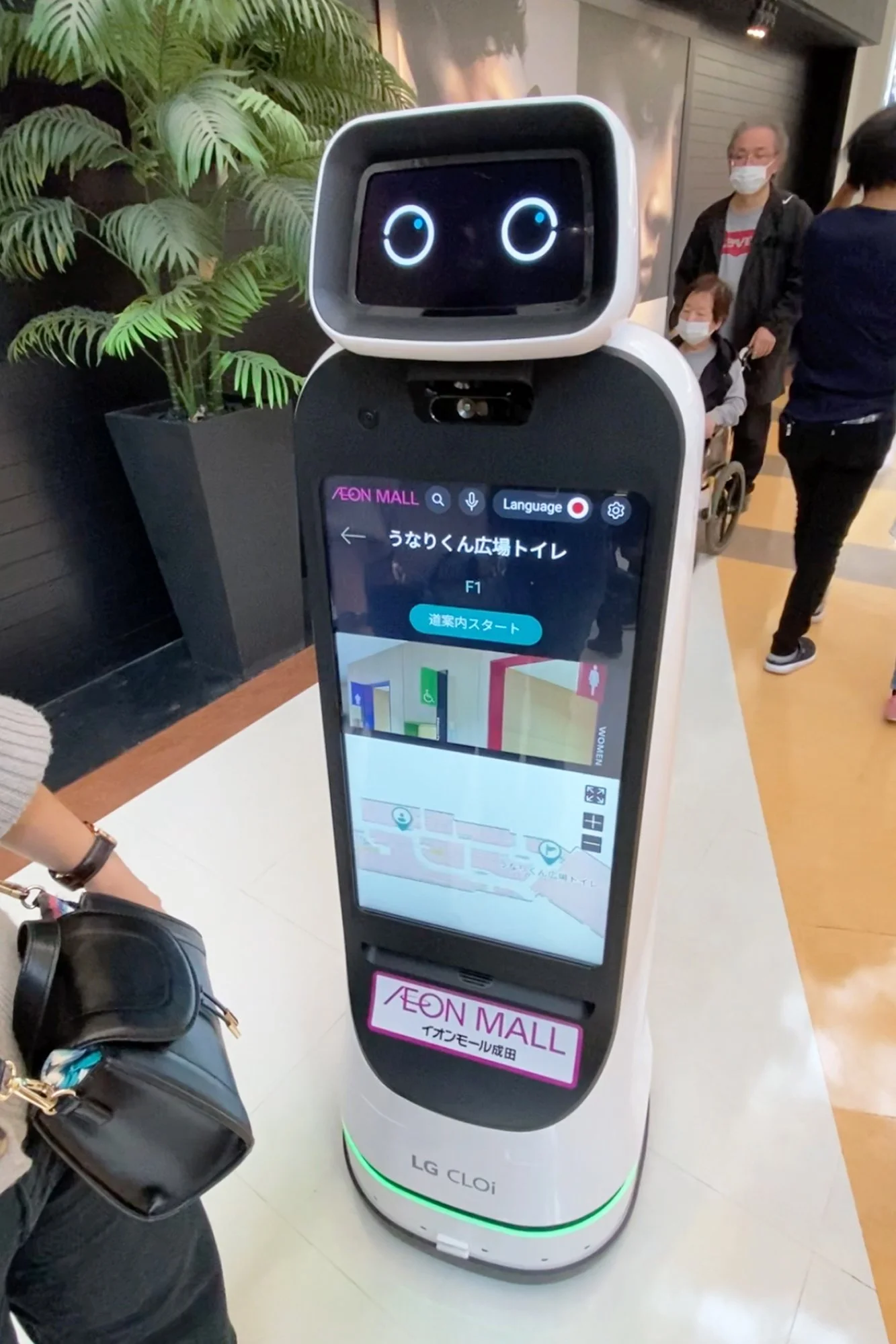 5 Things to Expect When You Visit Japan in 2022 - Travel Pockets