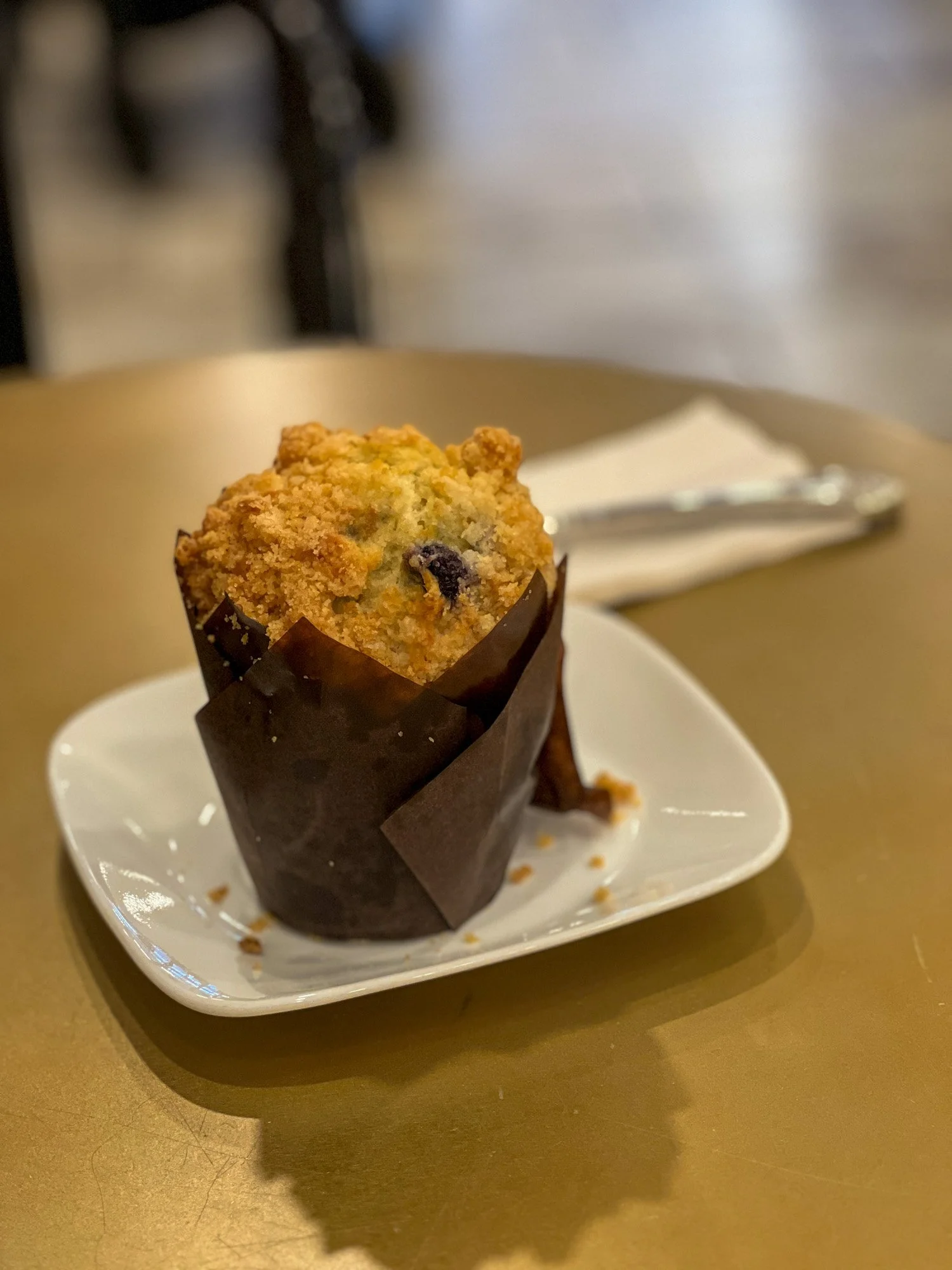 Pensacola's Downtown Delights: 5 Must-Dos - Travel Pockets