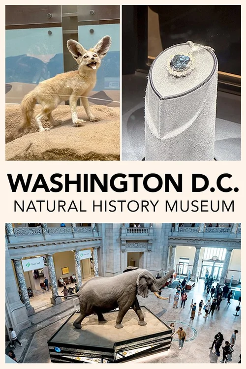 7 Things You Must See at the Smithsonian National Museum of Natural ...