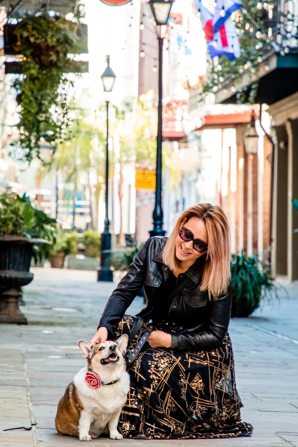 How To Spend One Day in New Orleans With Your Dog - Travel Pockets