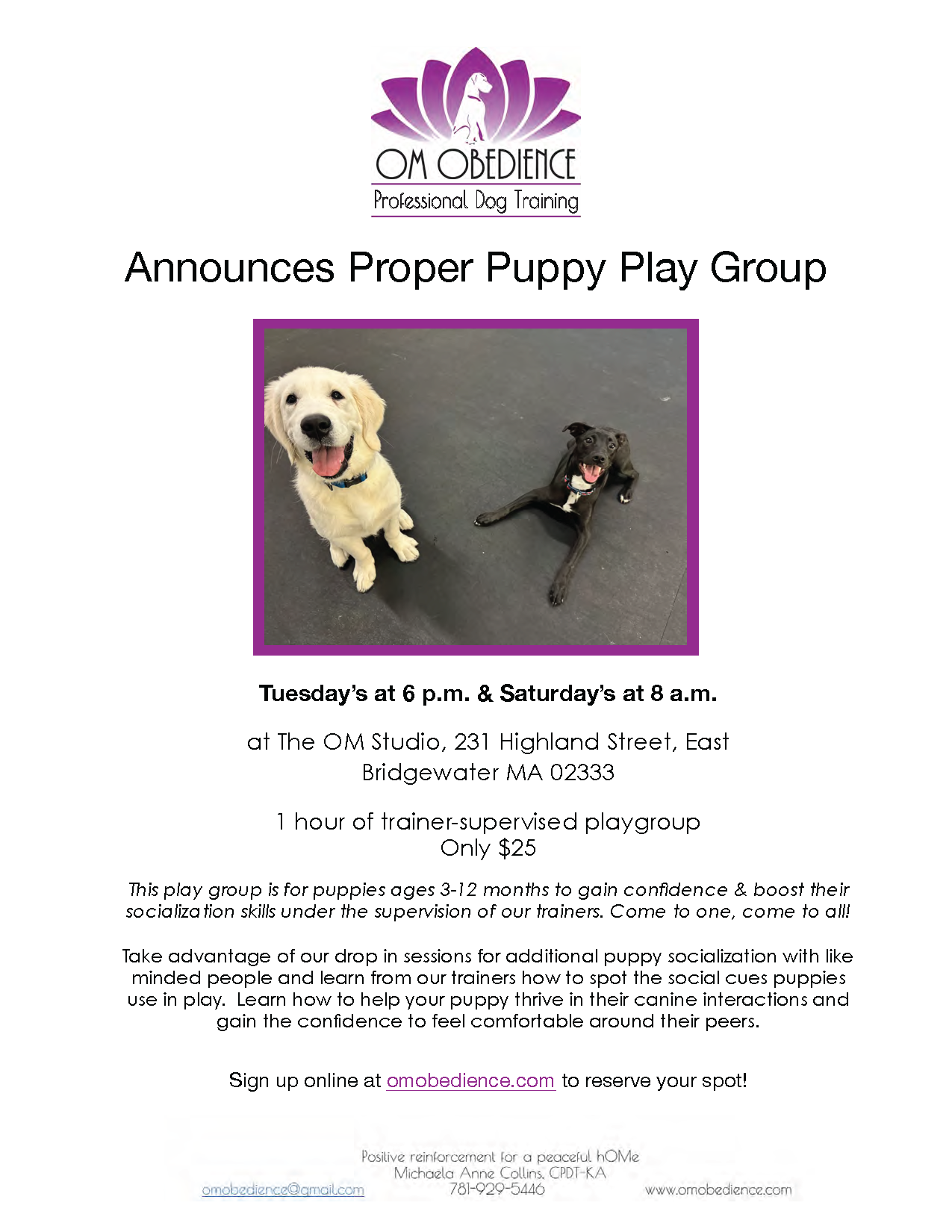 Proper Puppy Play Group — OM OBEDIENCE