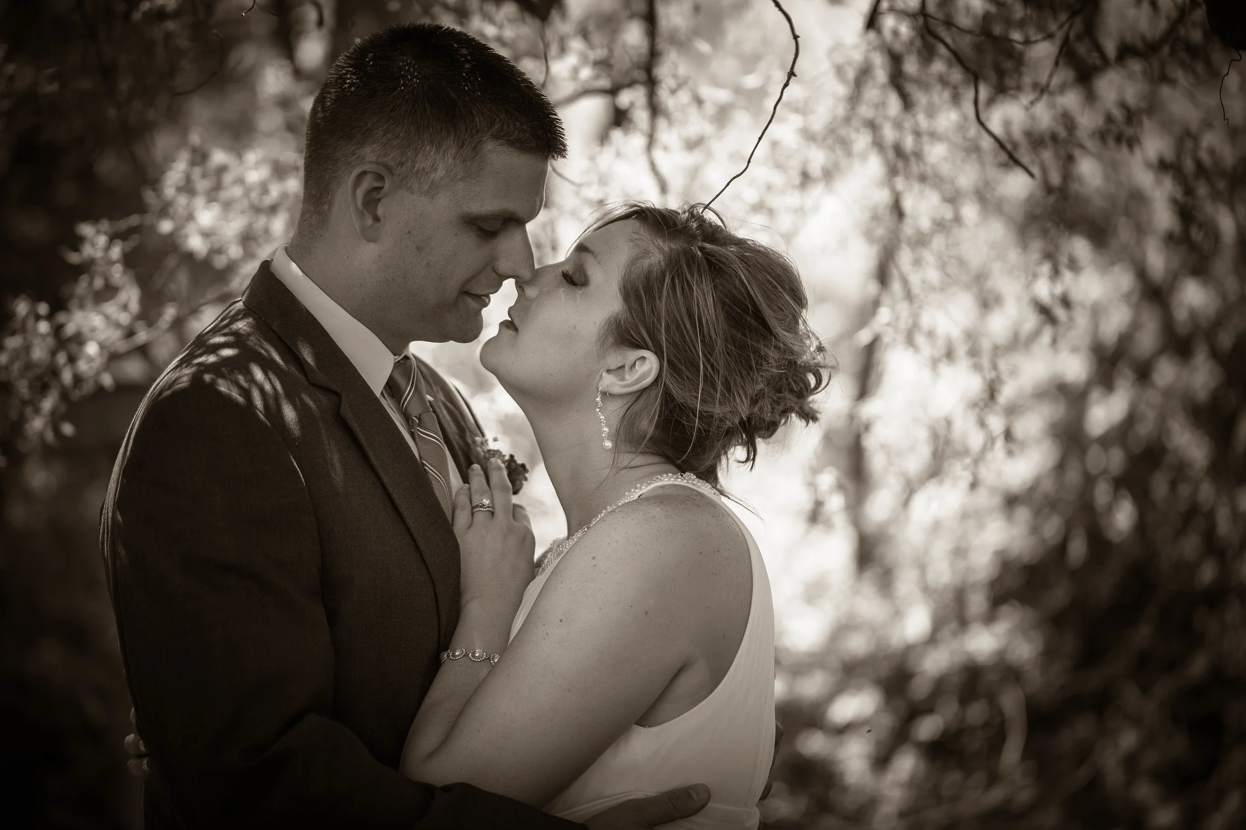 Annette Williams Photography