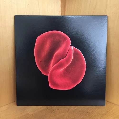 Scratch My Back Peter Gabriel