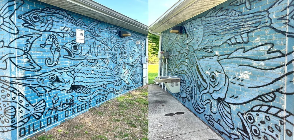 MURALS — Dillon O'Keefe Art