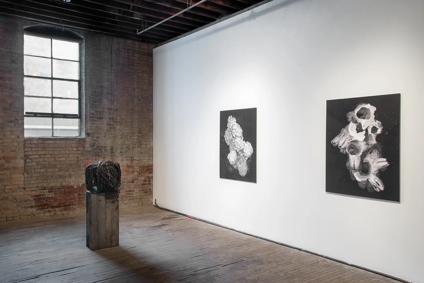Club Disminución — ALEXA HOROCHOWSKI