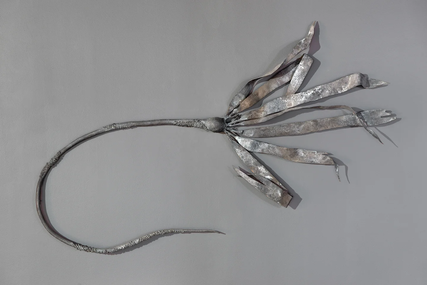 Club Disminución — ALEXA HOROCHOWSKI