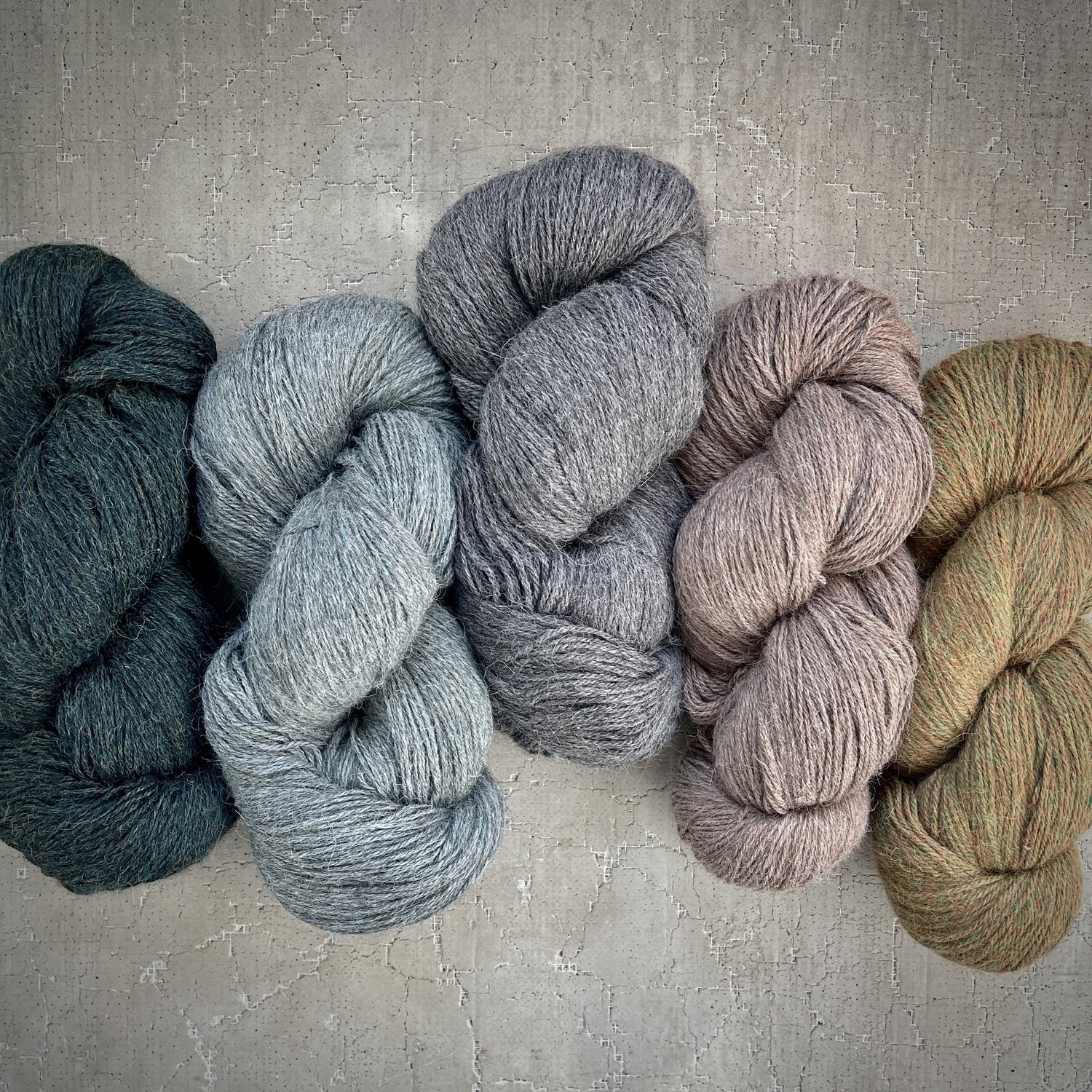 Swift Yarns | Color in Flight