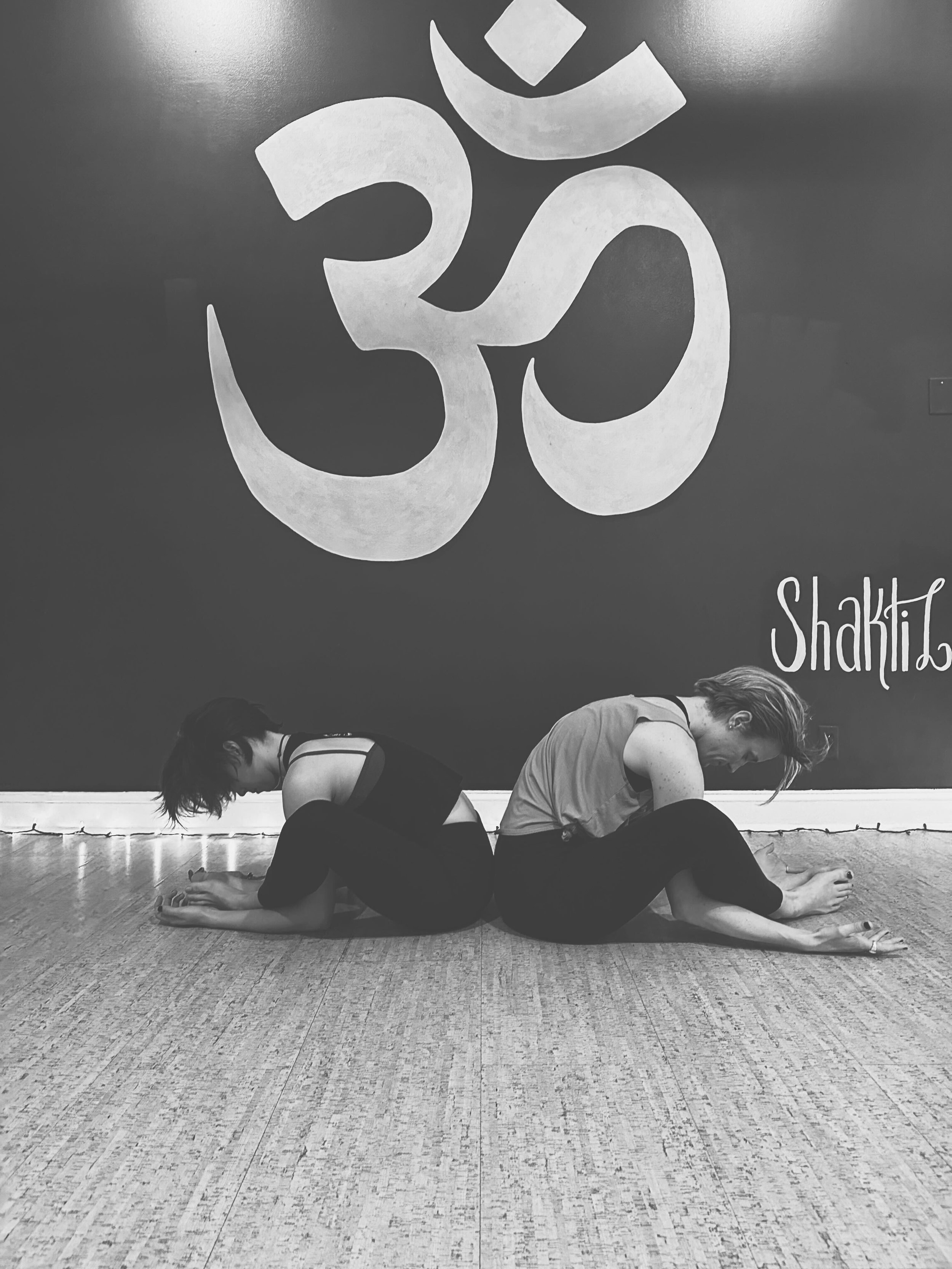 WORKSHOPS & EVENTS — Shakti Power Yoga