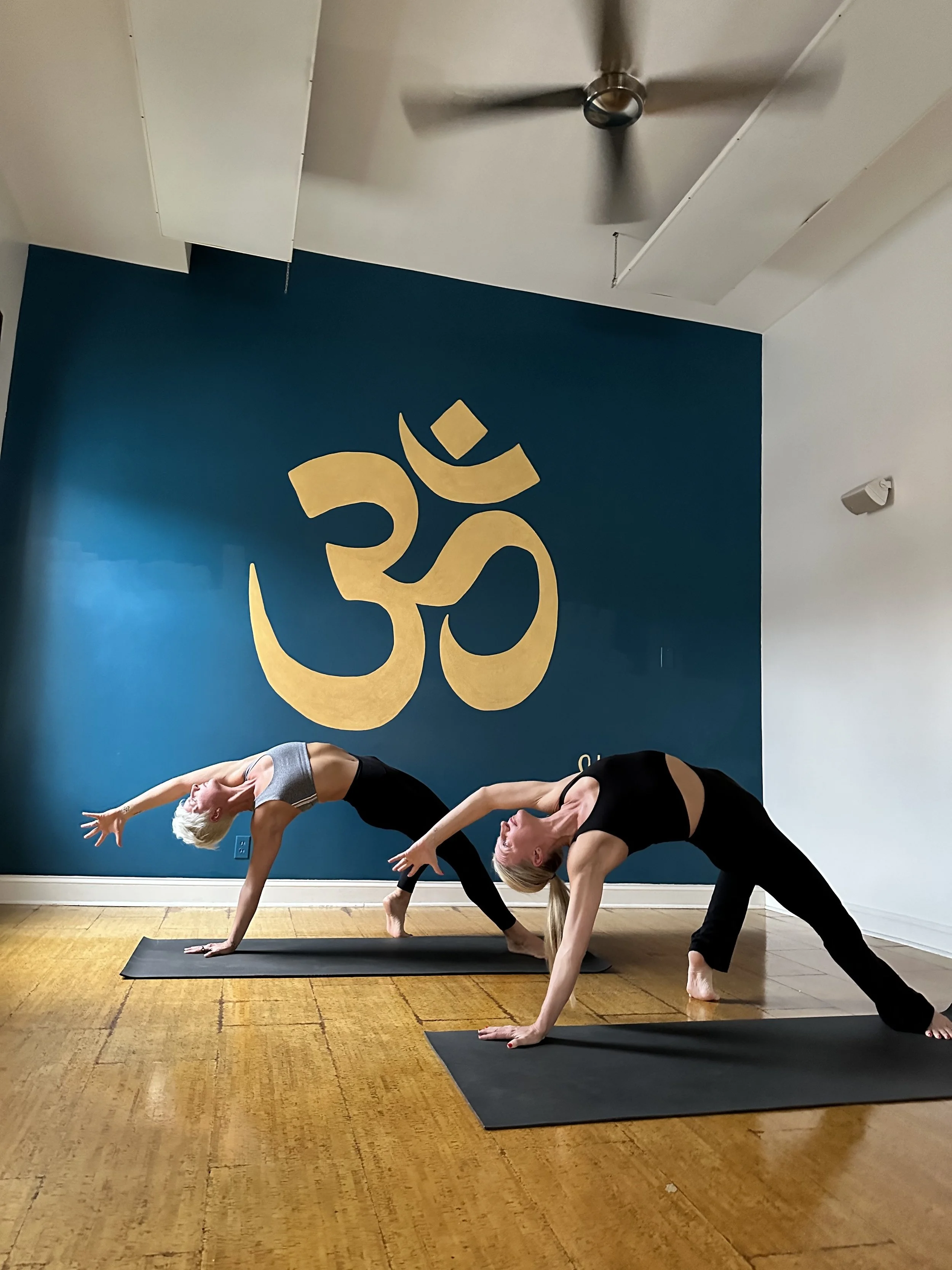 WORKSHOPS & EVENTS — Shakti Power Yoga