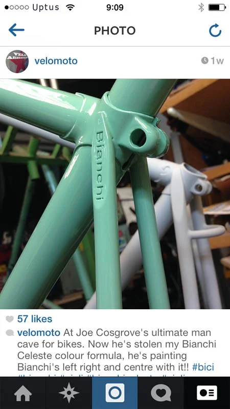 When The New Dog Digs Up The Old Dog Part 4 — Velo Aficionado
