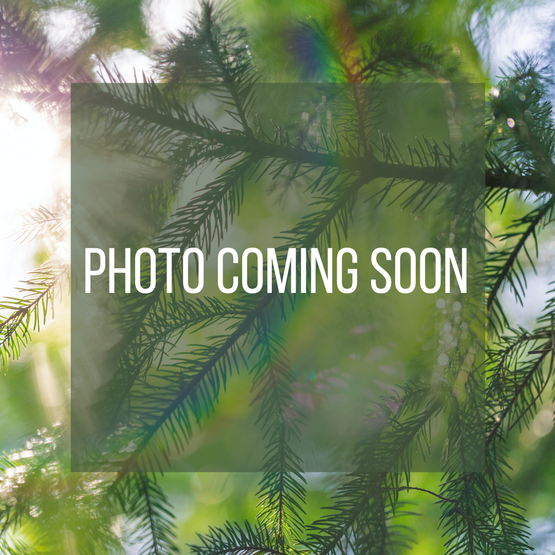 Patrick Belser — Evergreen Community Charter School