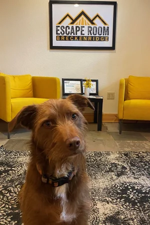 Escape Room Breckenridge
