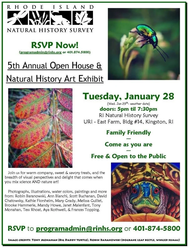 PUBLIC ART — Mandy Howe