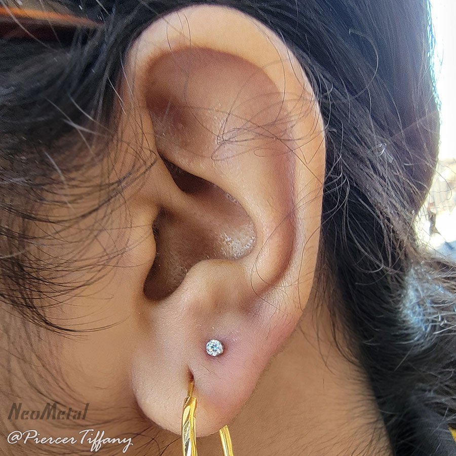 Piercing — ARTISANAL TATTOO