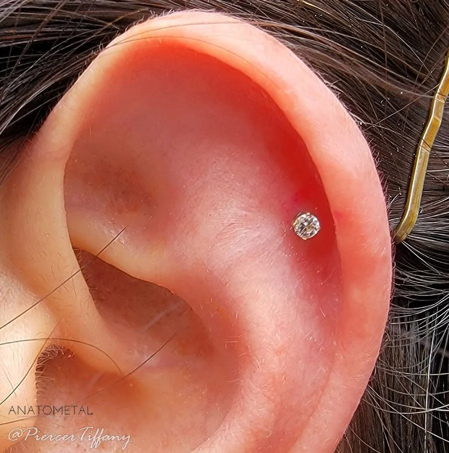 Piercing — ARTISANAL TATTOO