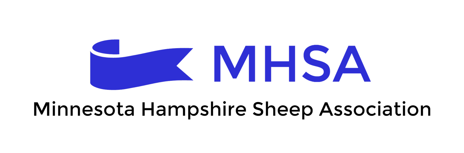 Minnesota Bred Ewe Sale — Minnesota Hampshire Sheep Association