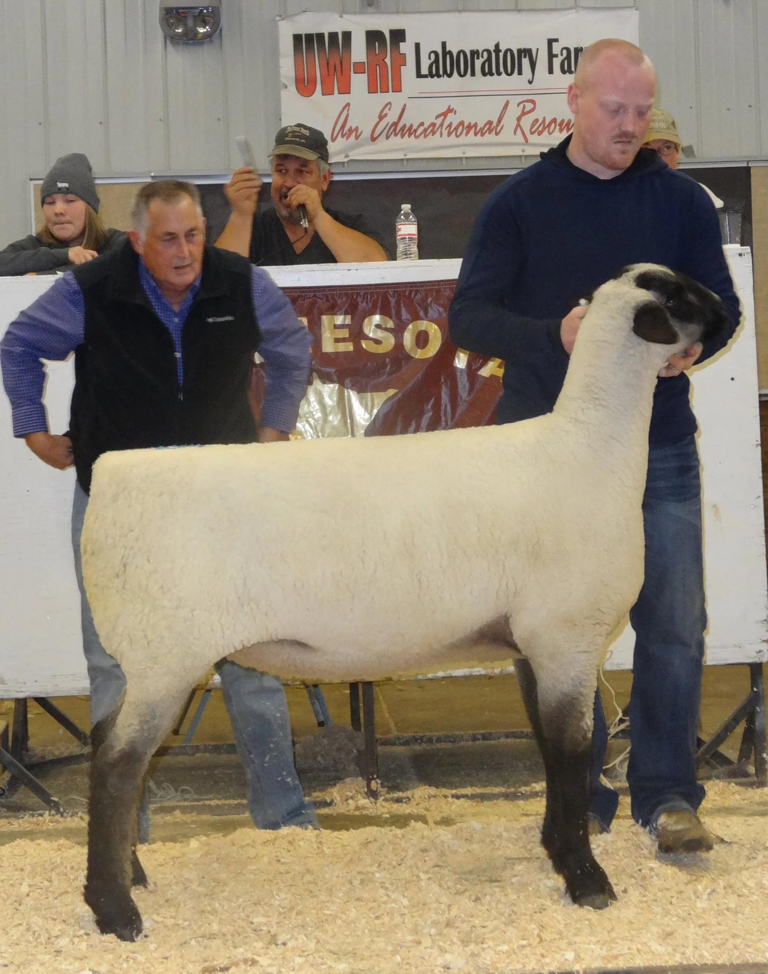Minnesota Bred Ewe Sale — Minnesota Hampshire Sheep Association