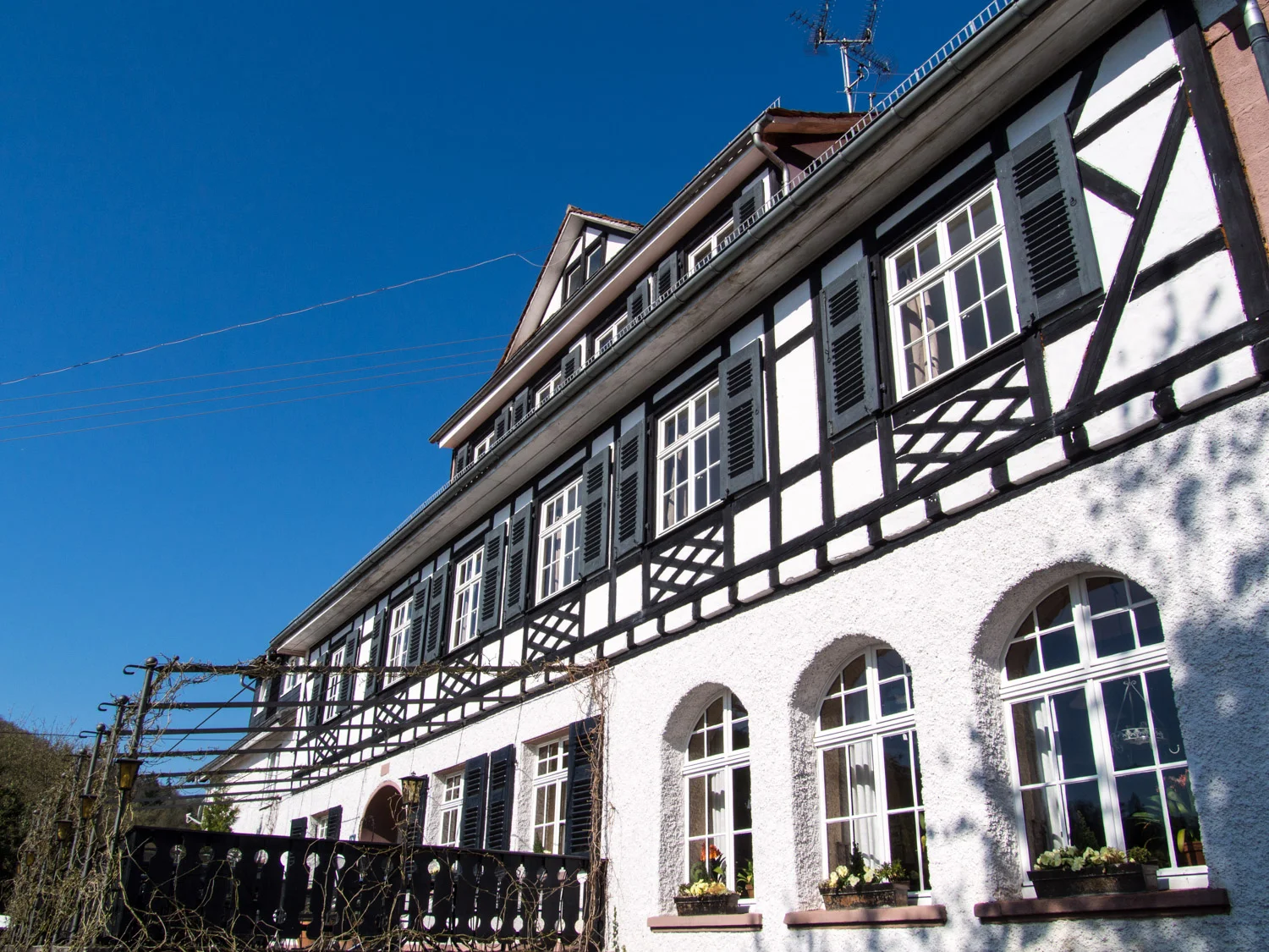 Hofgut Rodenstein - Hochzeit in der Scheune, Ausflug in den Odenwald