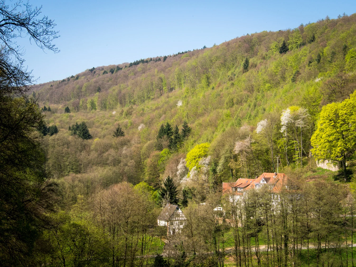 Hofgut Rodenstein - Hochzeit in der Scheune, Ausflug in den Odenwald