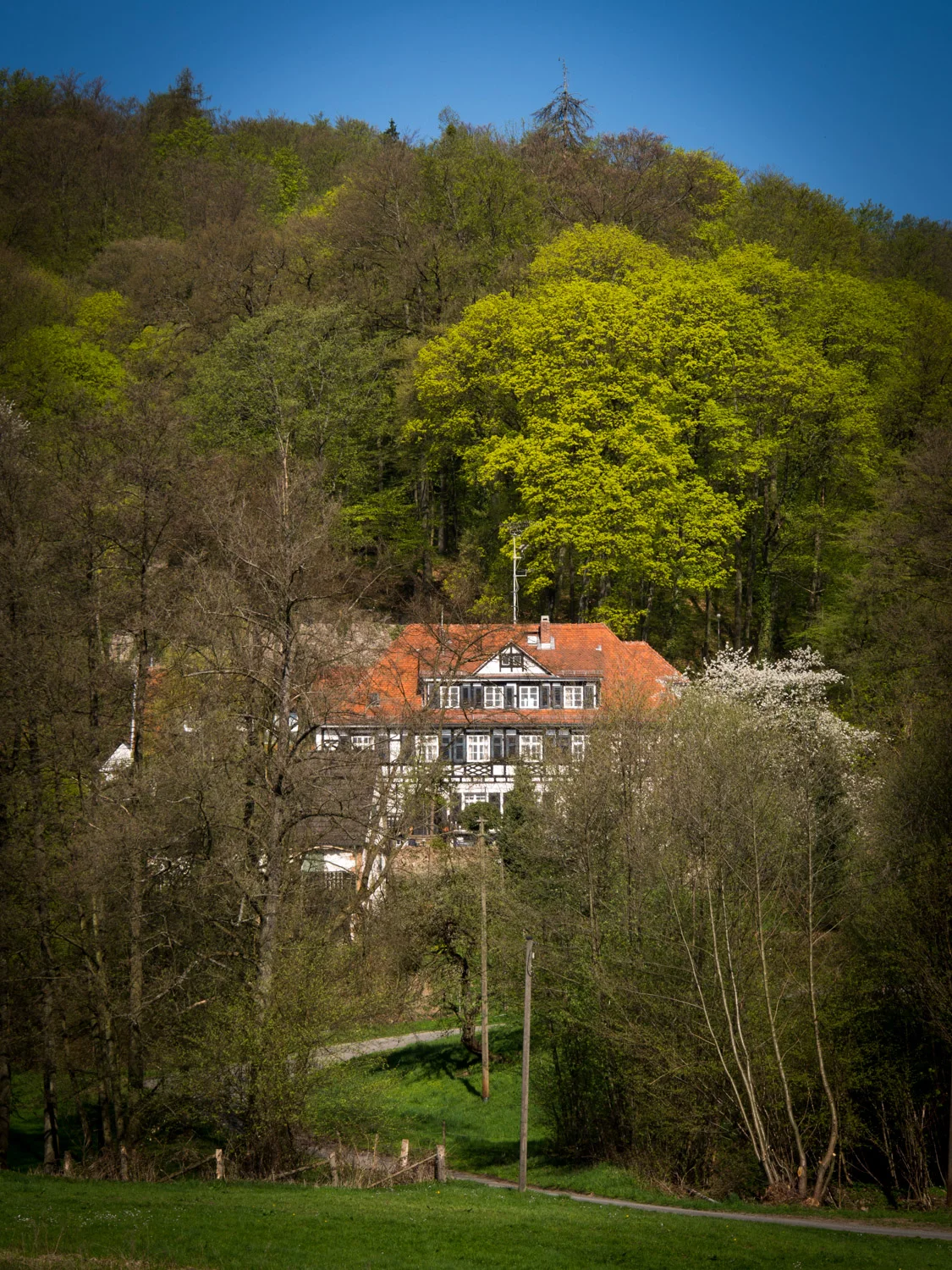 Hofgut Rodenstein - Hochzeit in der Scheune, Ausflug in den Odenwald