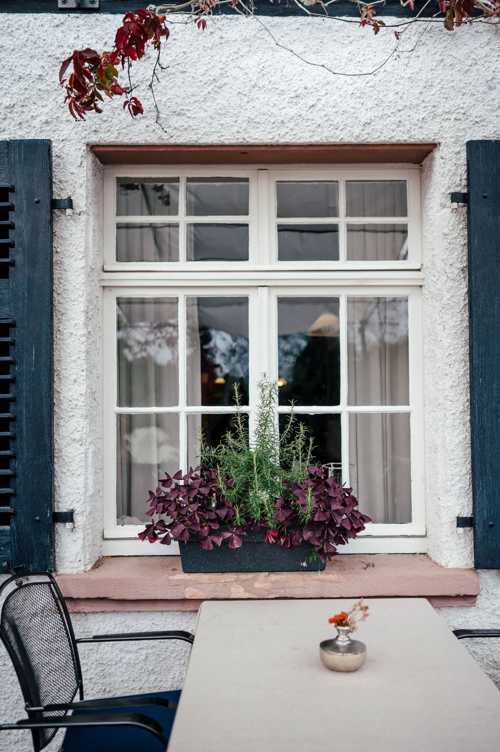 Das Lokal — Hofgut Rodenstein