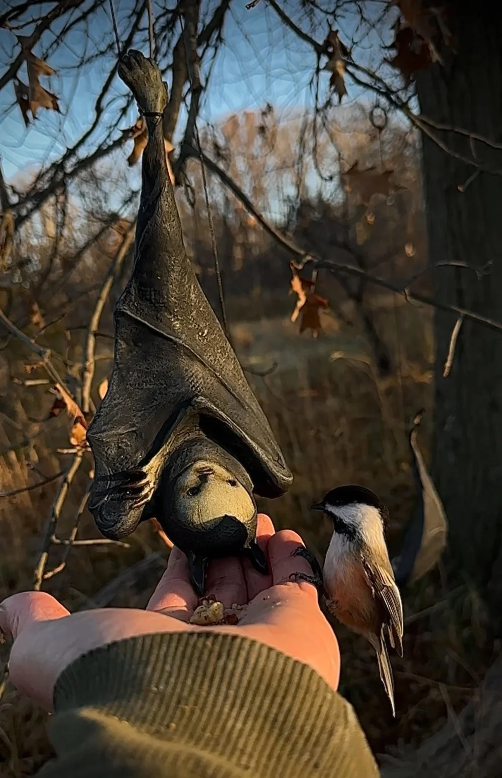 Scott Radke Store — scott radke