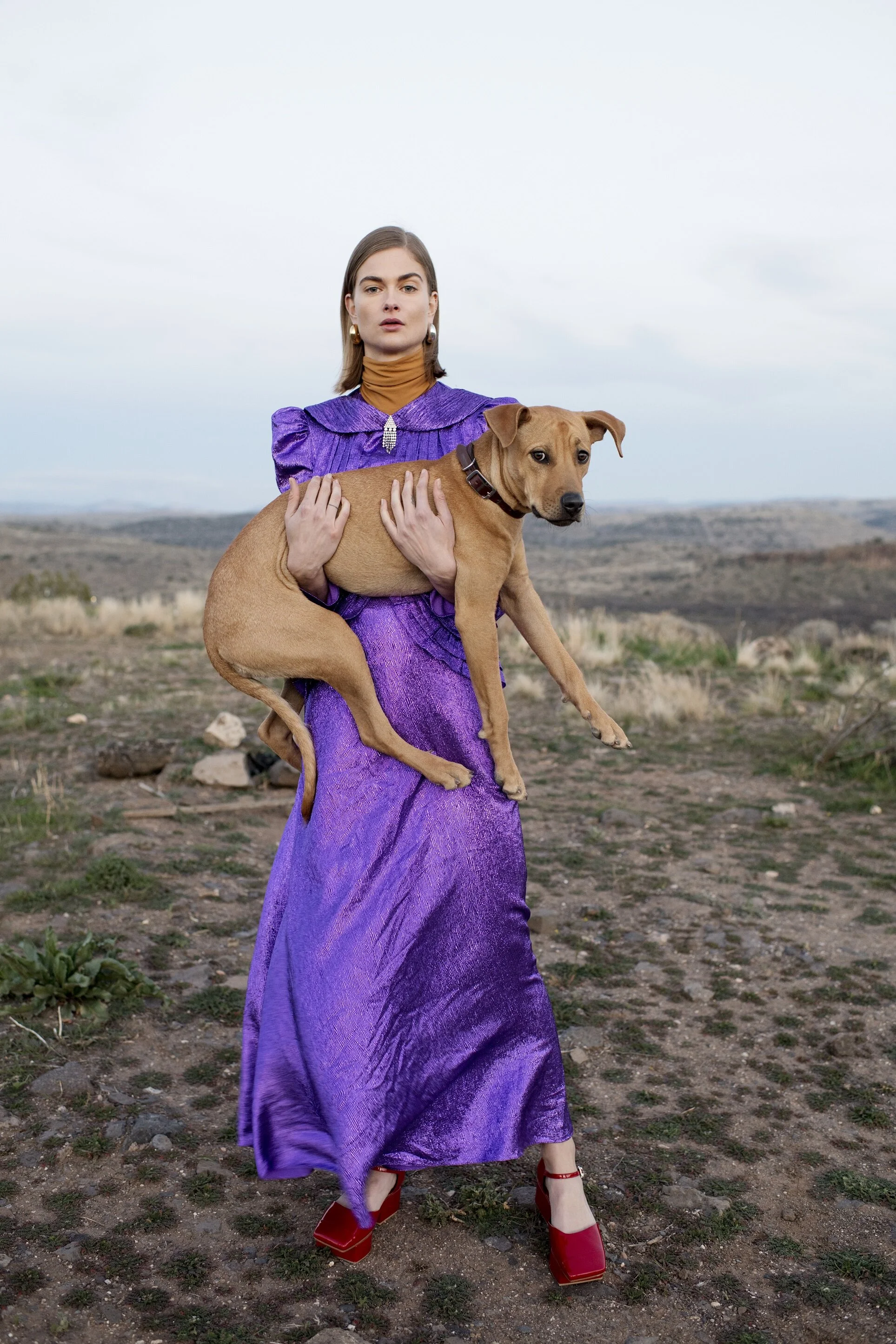 HOME [www.dianeaiello.com]