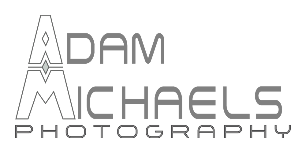 Pittsburgh Wedding Photographer: Adam Michaels Photography