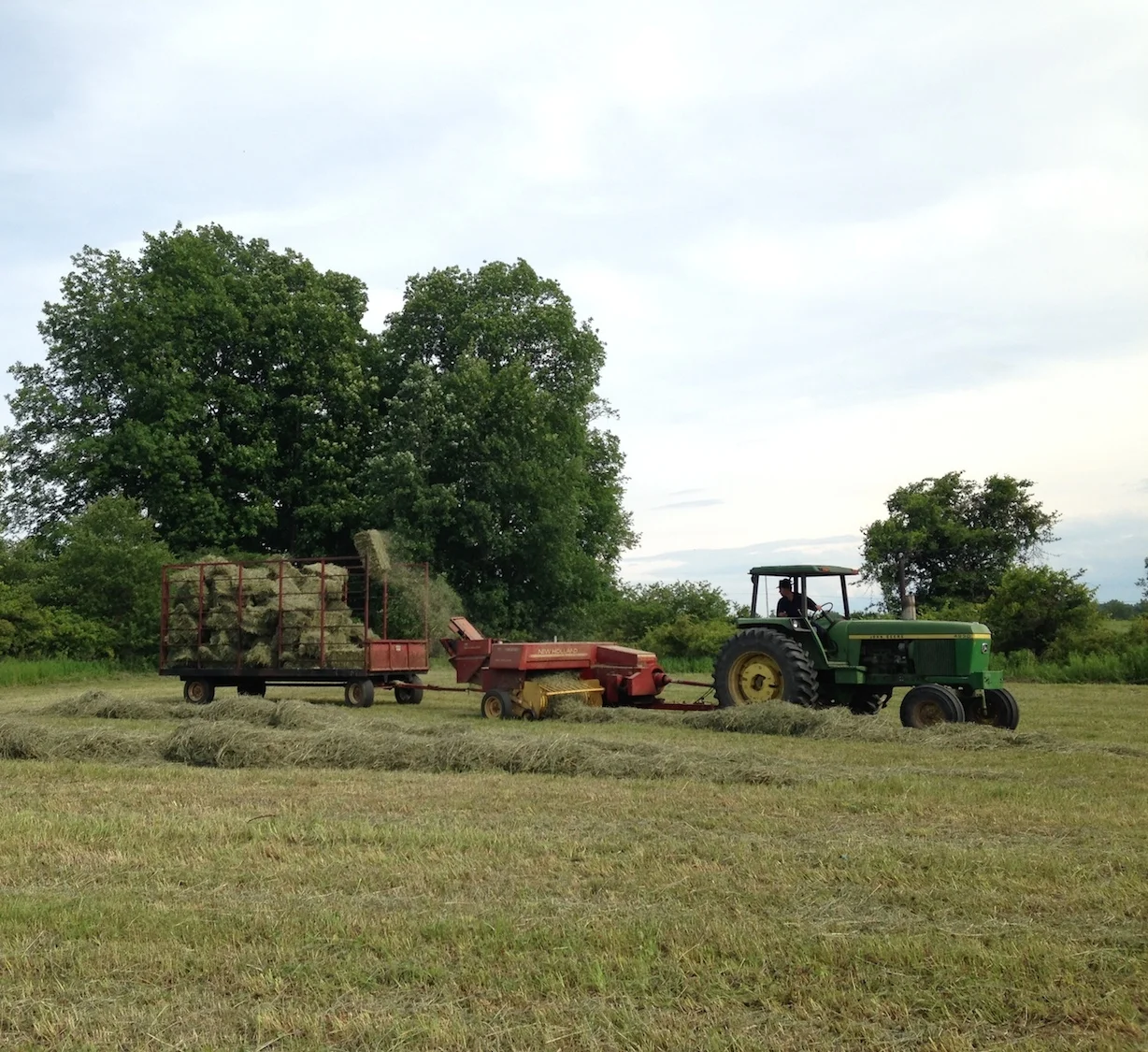 The Farm — Cochran Farm 1790