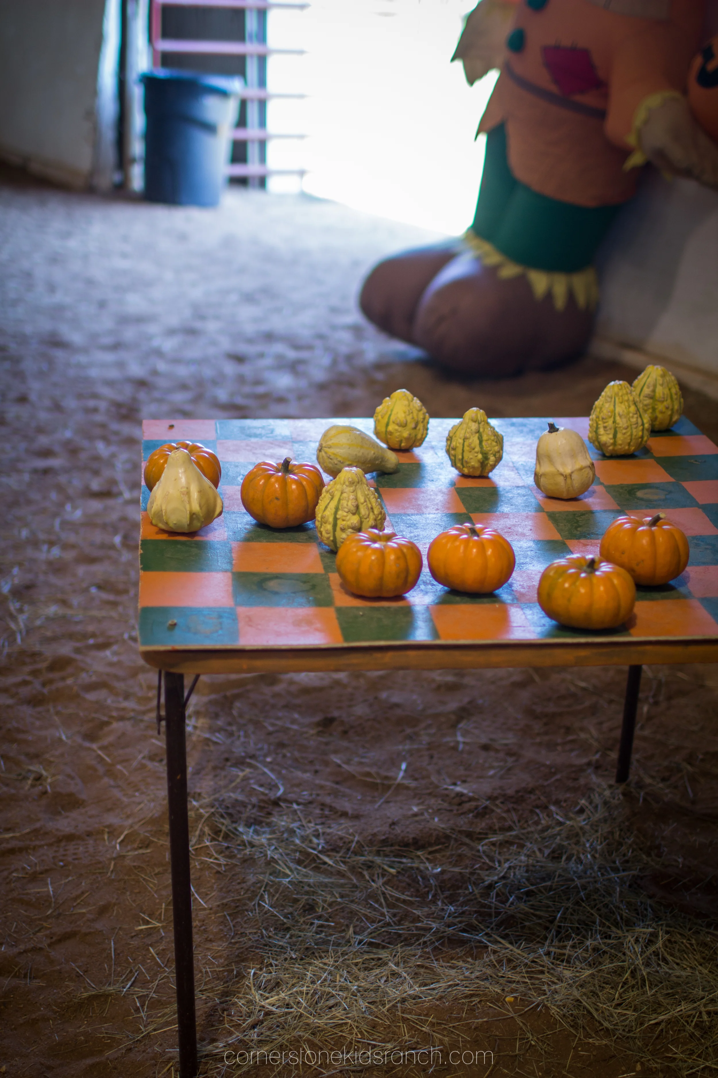 Pumpkin Patch — Cornerstone Kids' Ranch