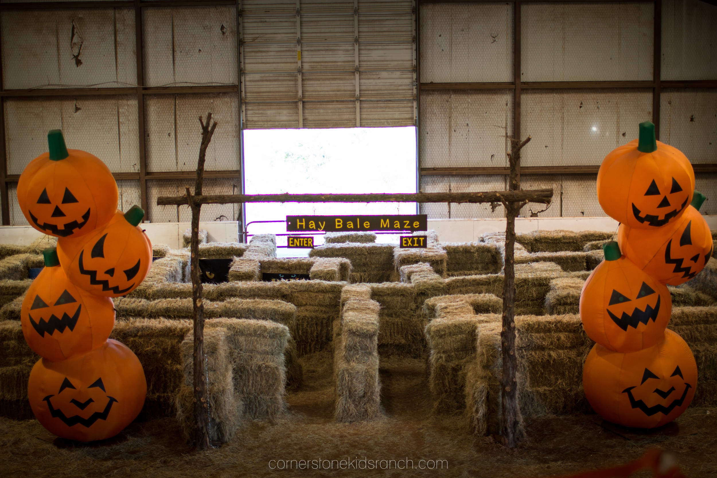 Pumpkin Patch — Cornerstone Kids' Ranch