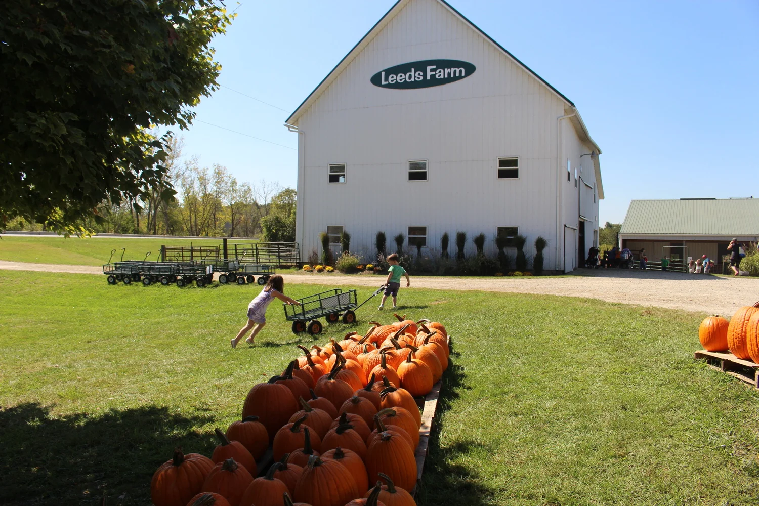 Fall Favorites | Leed's Farm | 2019 — 614 Mom