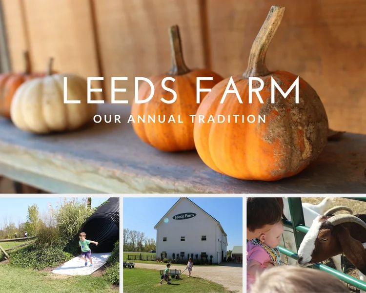 Fall Favorites | Leed's Farm | 2019 — 614 Mom
