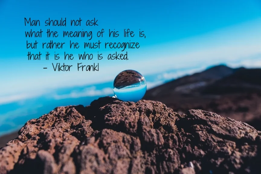 CRUSH SCHOOL - Finding Meaning (And Maybe Yourself Too)