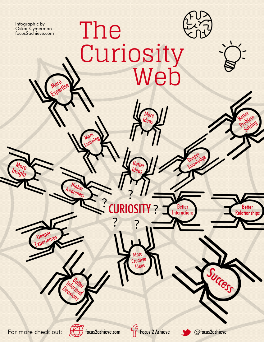 CRUSH SCHOOL - The Curiosity Web a.k.a. Why Spiders Are Cool